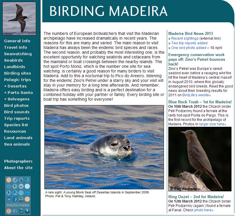 Bird Watching Madeira - Madeira Island News Blog