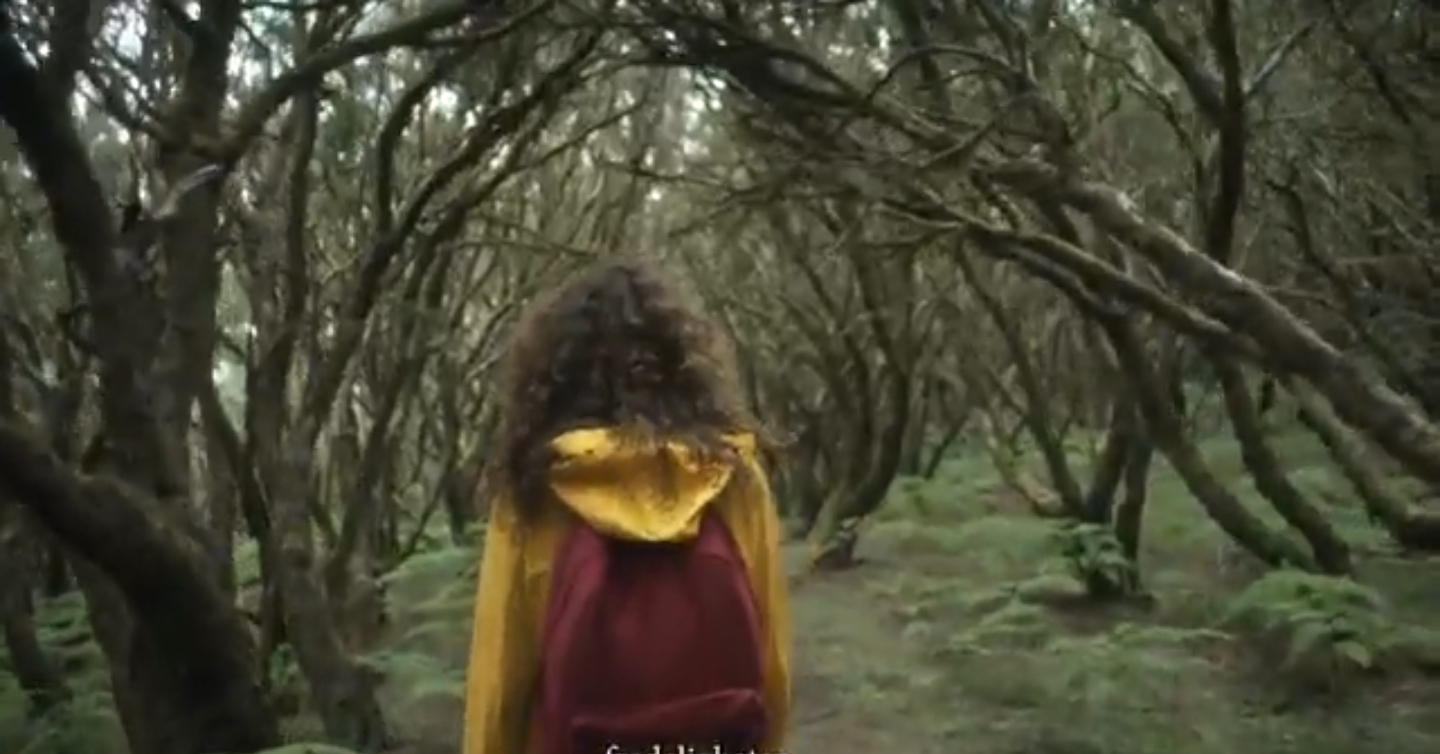 Madeira Promotion Video Madeira Island News Blog