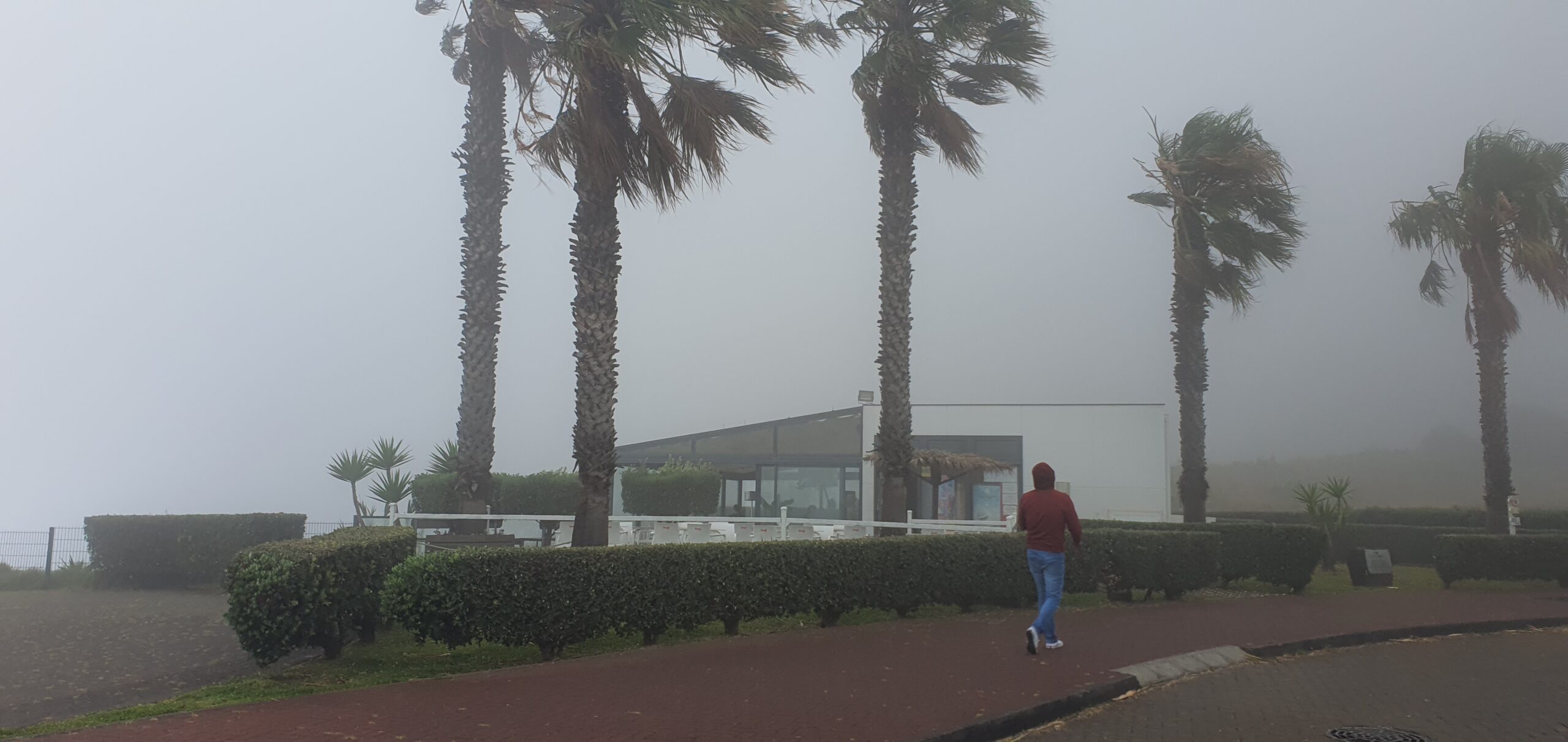 Weather to improve - Madeira Island News Blog