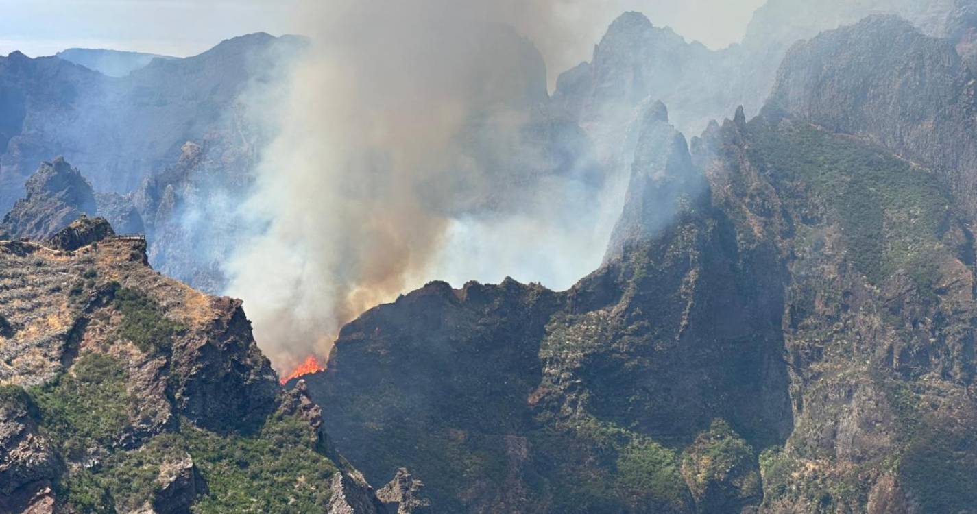 Fires: Burned area exceeds 5,000 hectares - Madeira Island News Blog