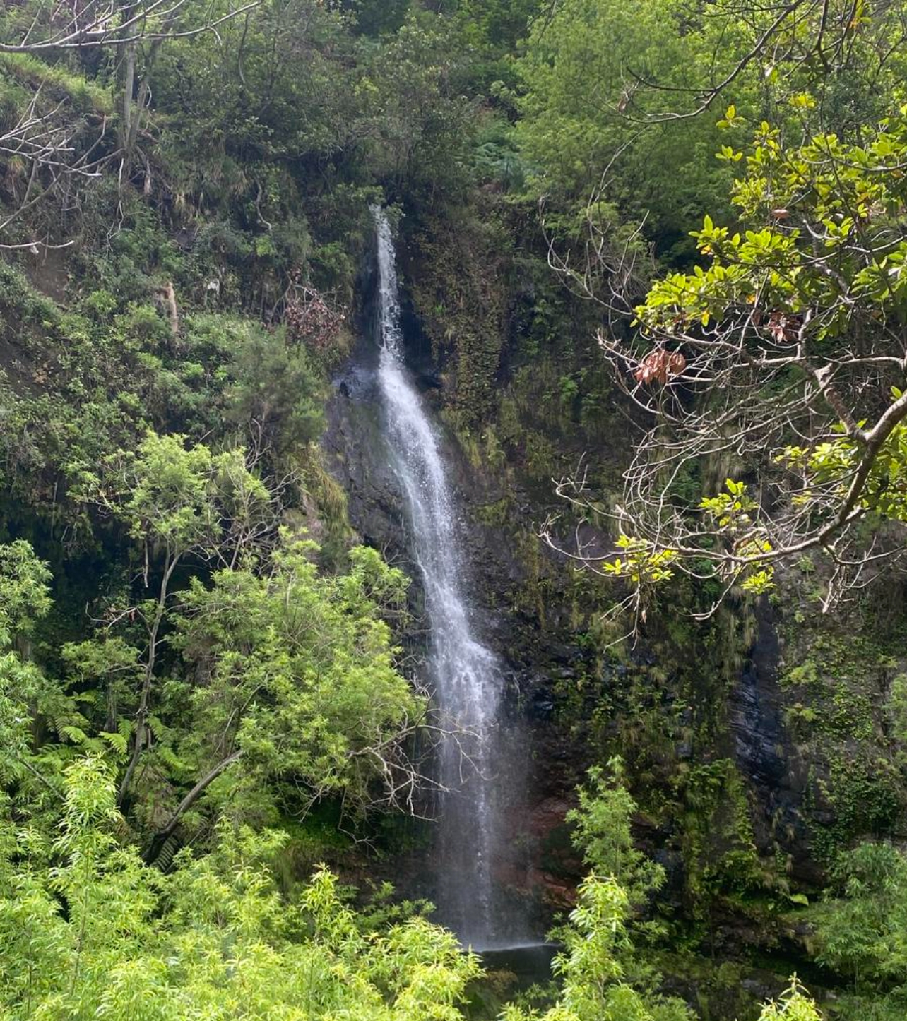 PJ (Judicial Police) appeals to the public to identify the body found ...