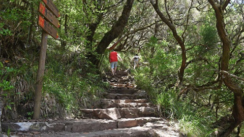 Madeirans will not have to book hiking trails. - Madeira Island News Blog