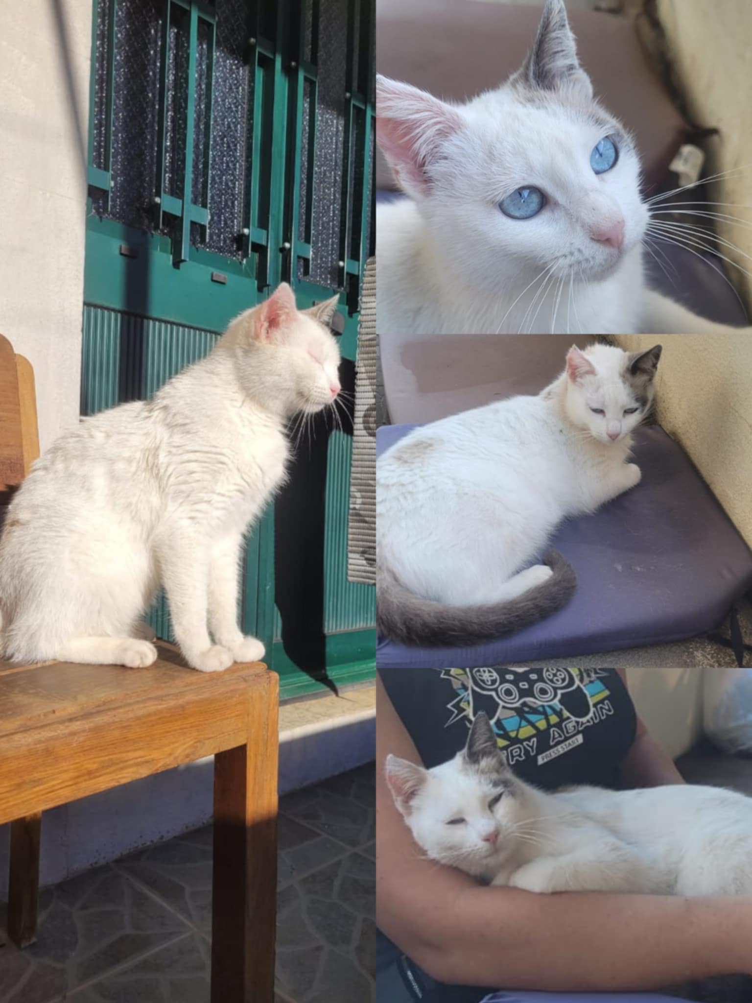 Missing in Estreito da Calheta - Madeira Island News Blog